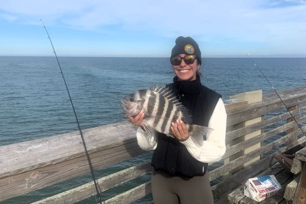 Jennette's Pier | Jennette's Pier | Outer Banks Fishing Report