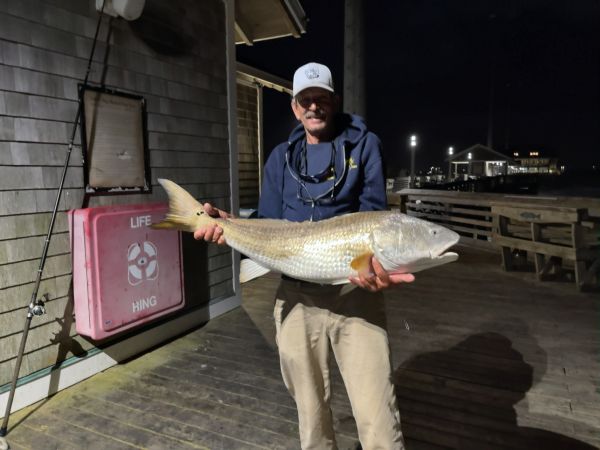 Jennette's Pier Fishing Report | Jennette's Pier | Outer Banks Fishing ...