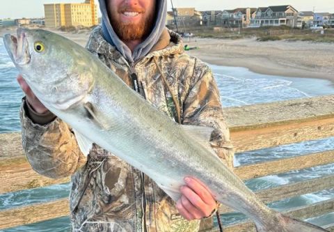 Outer Banks Fishing Reports | Outer Banks This Week