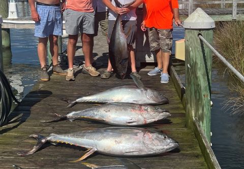 Outer Banks Fishing Reports | Outer Banks This Week