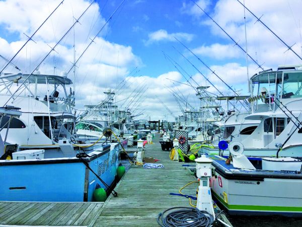 A Day on the Docks