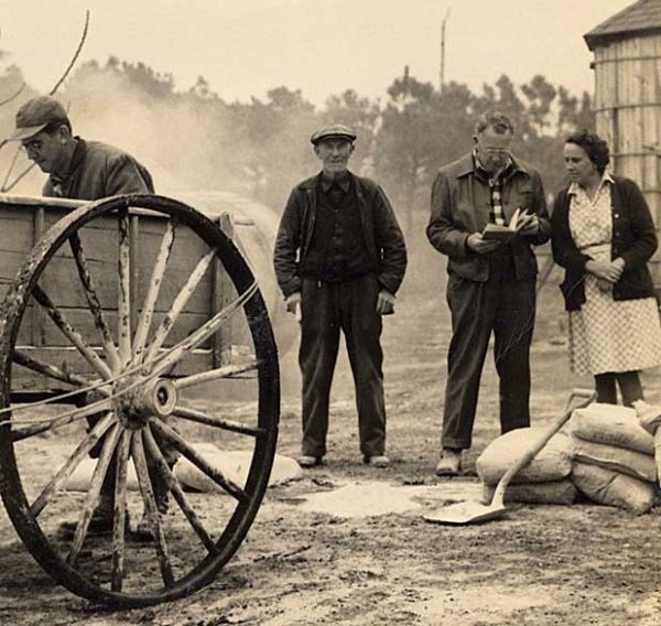 cotton gin coloring page