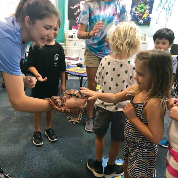 Where Learning is Fun