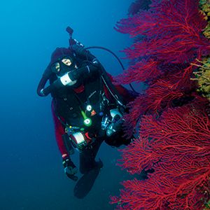 Histories of the Deep