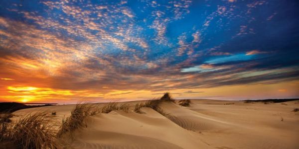The Best Outer Banks Summer Night Activities | Outer Banks, NC
