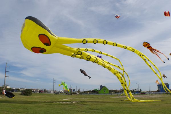 Kites Fill the Sky at the Birthplace of Flight | Outer Banks, NC