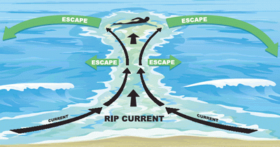 What the Lifeguards Want You to Know | Outer Banks, NC