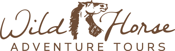 Post, August 3, 2025 - 8:06am | Outer Banks, NC