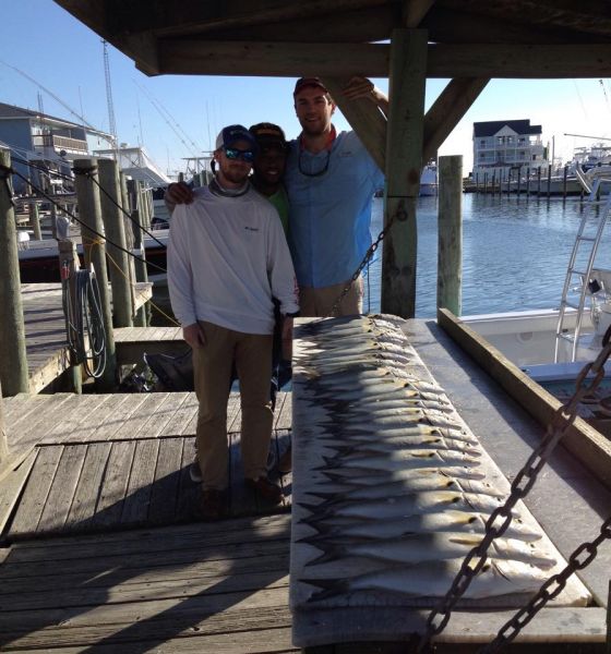 Bluefish in the afternoon | Albatross Fleet | Outer Banks Fishing Report