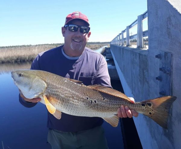 Easter Fishing Report | TW’s Bait & Tackle | Outer Banks Fishing Report