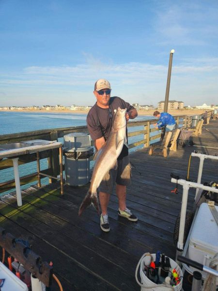 Bluefish Of All Sizes | Fishing Unlimited Outer Banks Boat Rentals ...