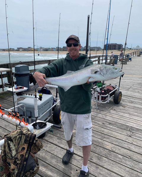 Really Good Sea Mullet Bite | Fishing Unlimited Outer Banks Boat ...