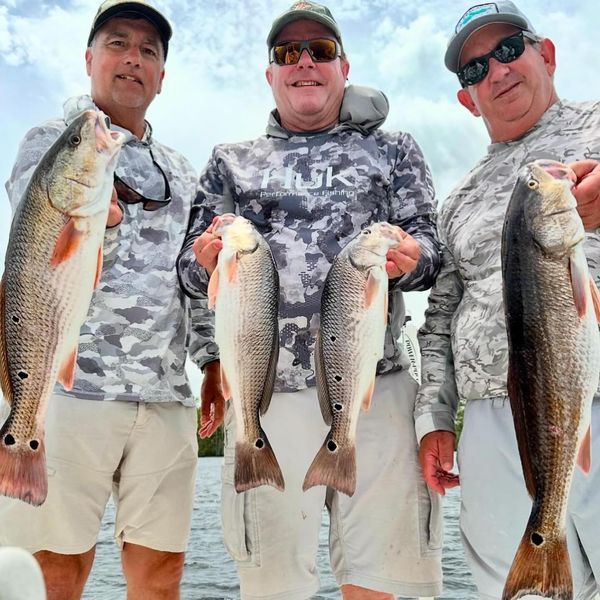 Steady Surf Fishing | TW’s Bait & Tackle | Outer Banks Fishing Report