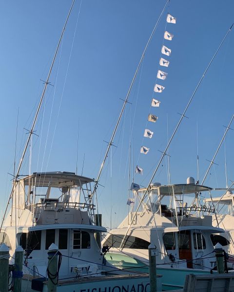 Labor Day Fishing Report | TW’s Bait & Tackle | Outer Banks Fishing Report