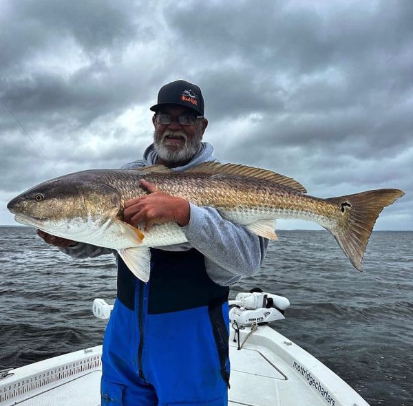 Productive Sound Fishing | TW’s Bait & Tackle | Outer Banks Fishing Report