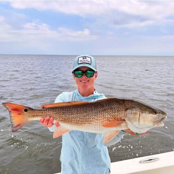 Sea Mullet, Bluefish, Drum, and Sharks | TW’s Bait & Tackle | Outer ...