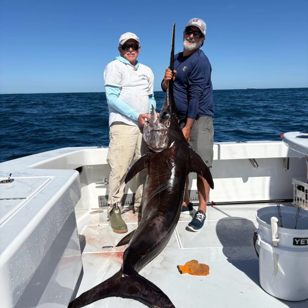 October Fishing! | Pirate's Cove Marina | Outer Banks Fishing Report