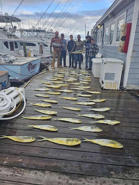 October Fishin’ | Pirate's Cove Marina | Outer Banks Fishing Report October Fishin’ | Pirate's Cove Marina | Outer Banks Fishing Report