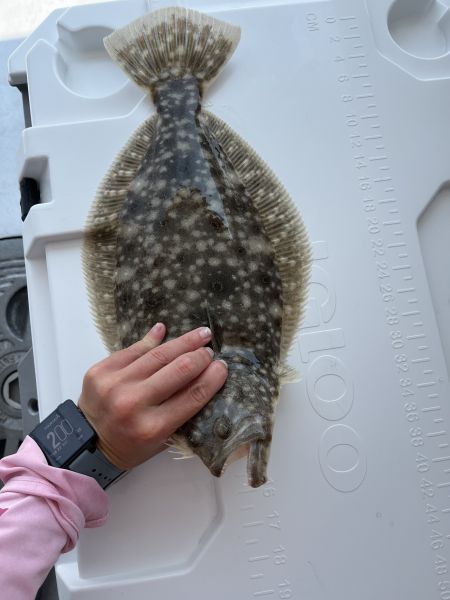 Flounder Pounder | Miss Oregon Inlet II Head Boat Fishing | Outer Banks ...