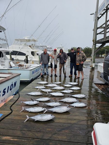 Corolla Fish Report | OBX Bait & Tackle Corolla Outer Banks | Outer ...