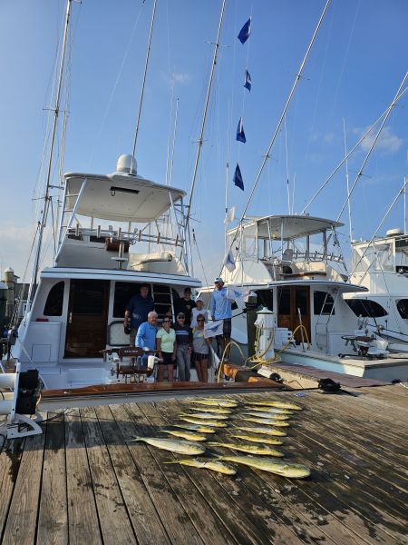 Talk About a Tuesday! | Pirate's Cove Marina | Outer Banks Fishing Report