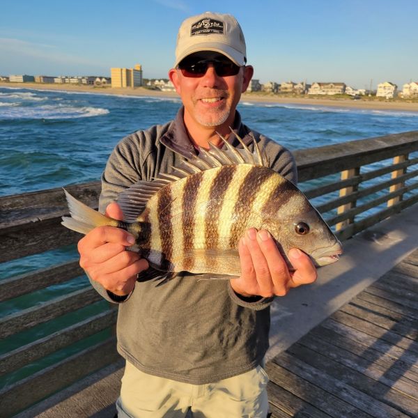 Jennette's Pier Fishing Report | Jennette's Pier | Outer Banks Fishing ...