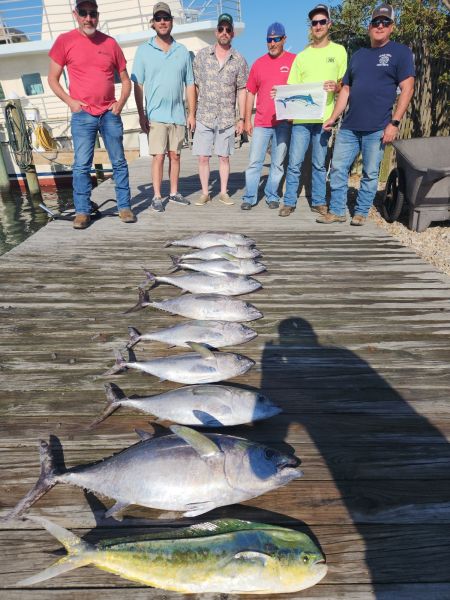 Fintastic Friday | Pirate's Cove Marina | Outer Banks Fishing Report