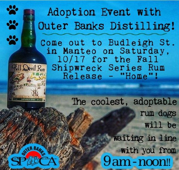 Rum Dogs Adoption Event with Outer Banks Distilling! | Outer Banks SPCA ...