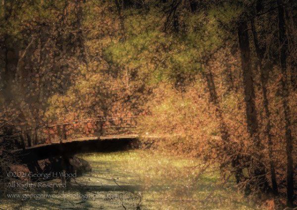 Rotating Art Show - George Wood | Duck Town Park | Outer Banks Events