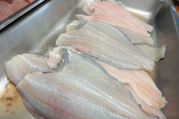 Flounder Filet | Billy’s Seafood