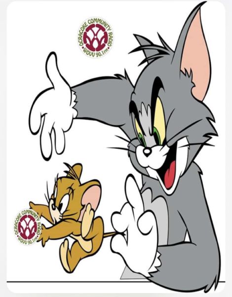 Post, December 26, 2024 - 11:36am | Outer Banks, NC