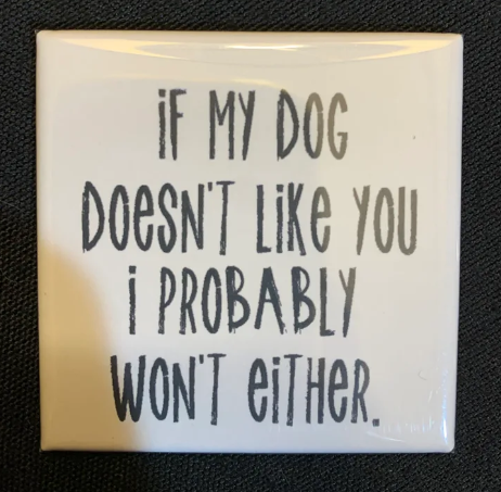 Sassy Magnets | Absolutely Outer Banks | Outer Banks Shopping