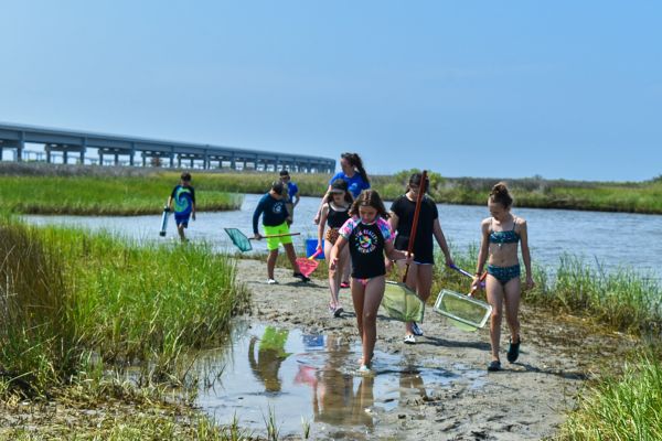 Summer Camps | North Carolina Aquarium on Roanoke Island | Outer Banks ...