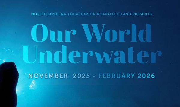 Our World Underwater | North Carolina Aquarium on Roanoke Island ...